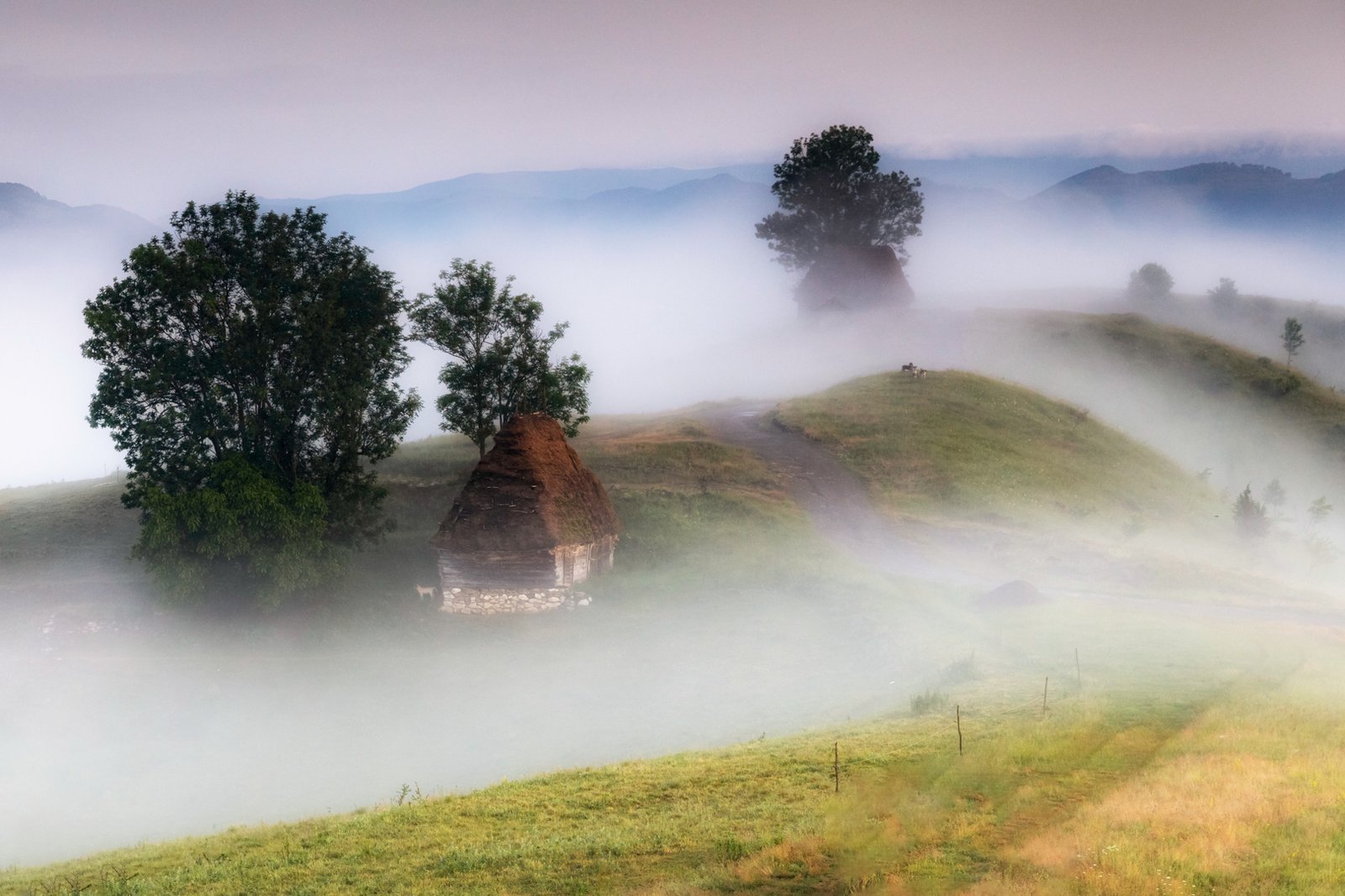 Jeno Major - Landscape Photography - Dumești